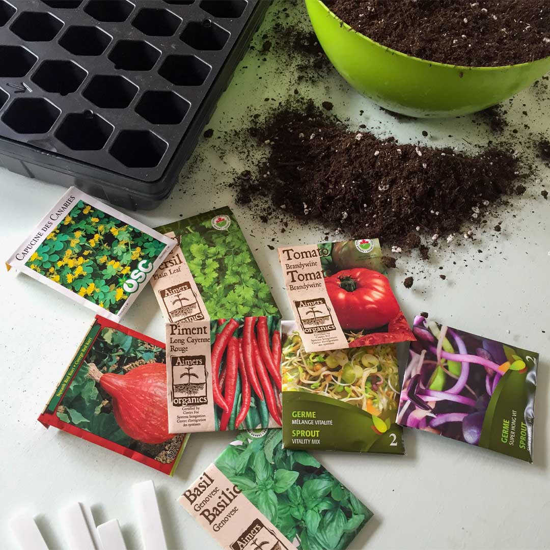 Quoi et quand planter pour les semis? - Les serres du lac inc.